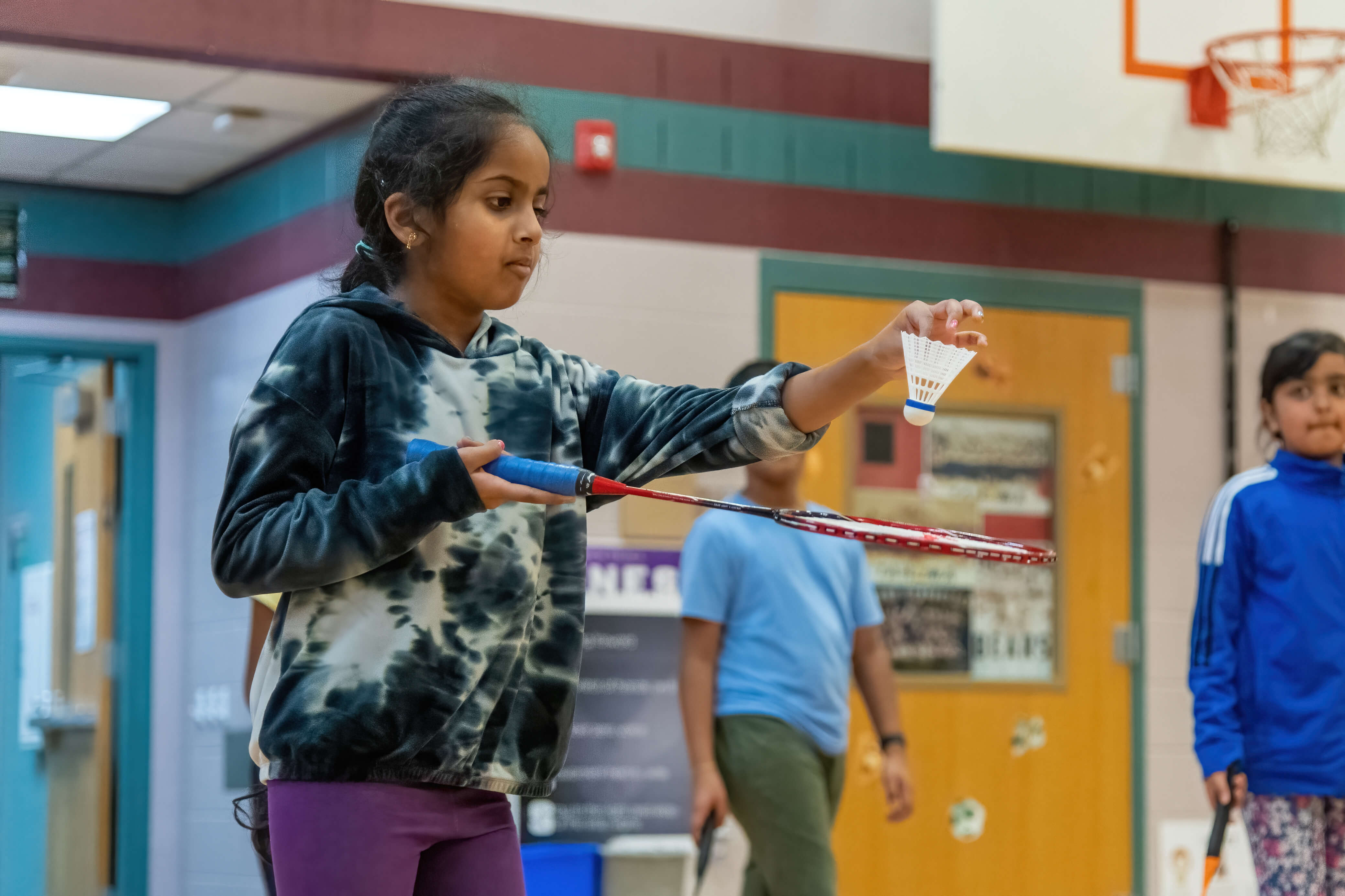 Badminton - Maple Valley