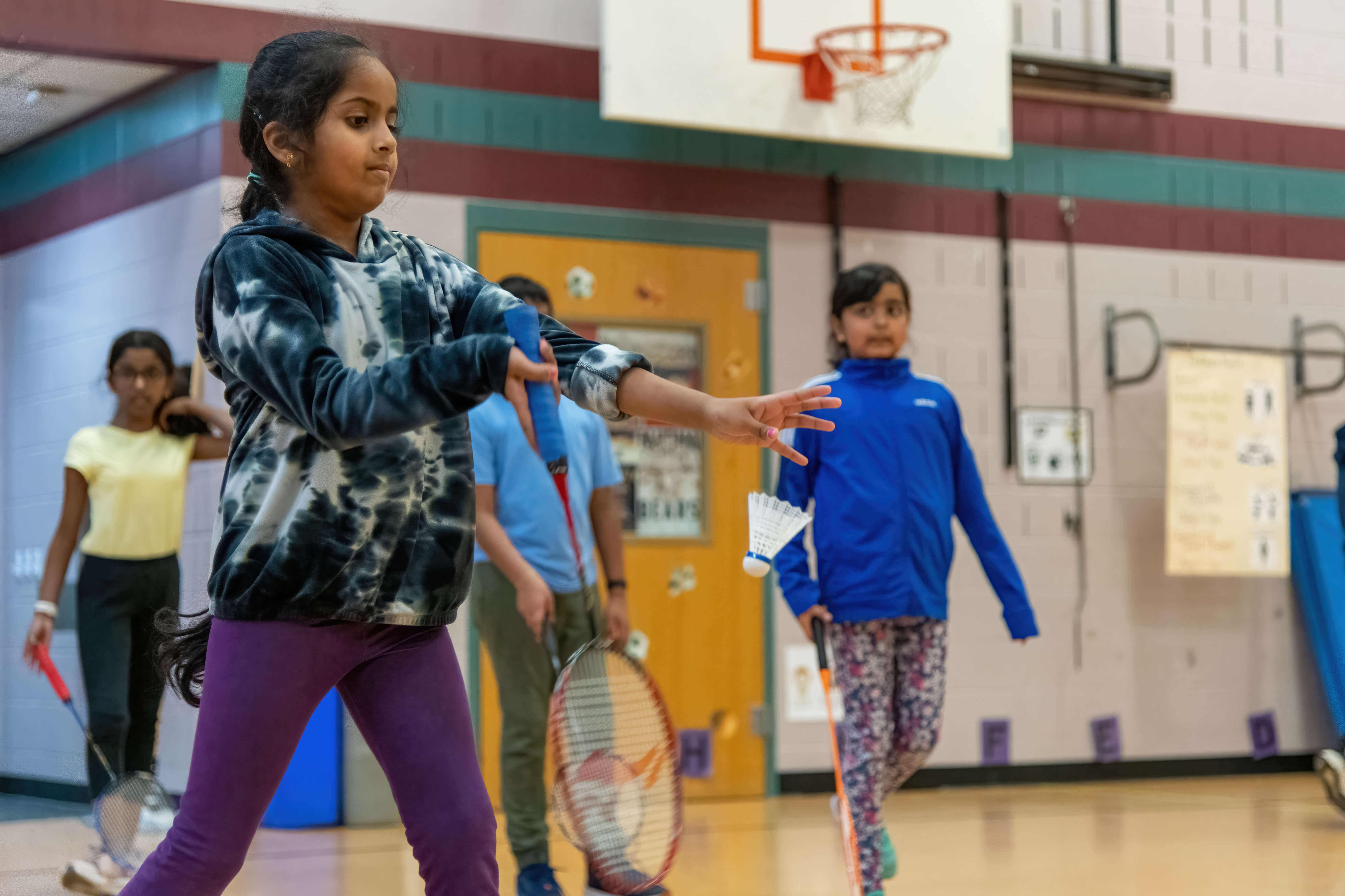Badminton - Maple Valley